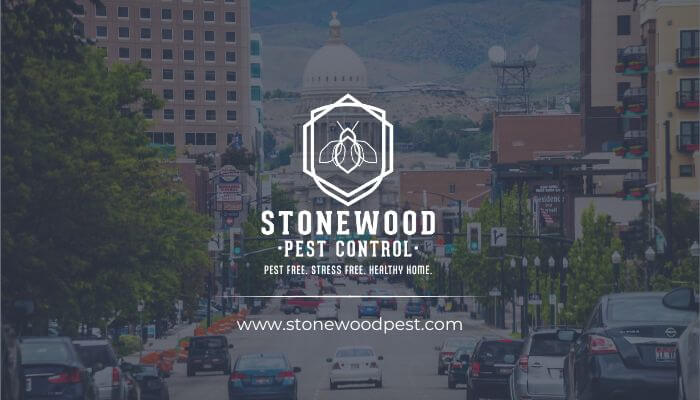Pest Control in Boise, ID | Stonewood Pest — Local Service